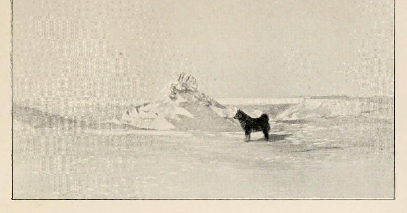 ‘Deep in Thought’ by Hjalmar Johansen from An Account of the Norwegian ...