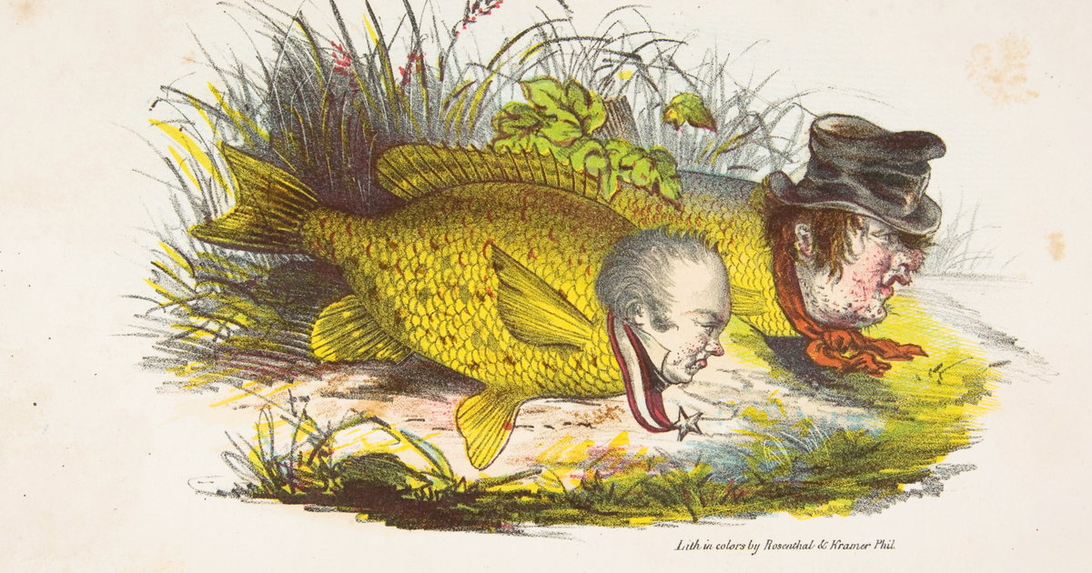 ‘Son Fish / Sucker’ by Henry L. Stephens from The Comic Natural History ...