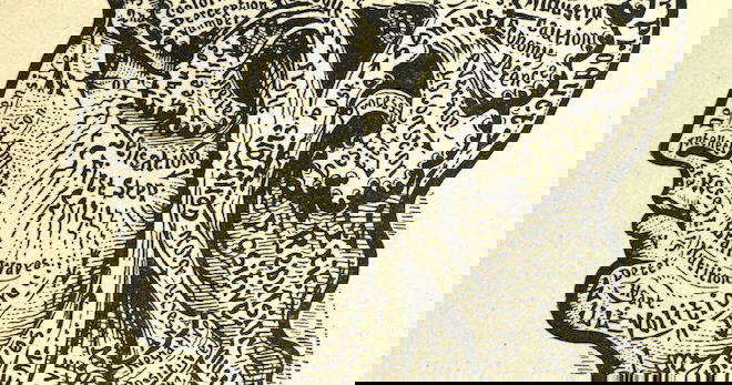 ‘Plan of the Brain’ by Dr Alesha Sivartha from The Book of Life: The ...