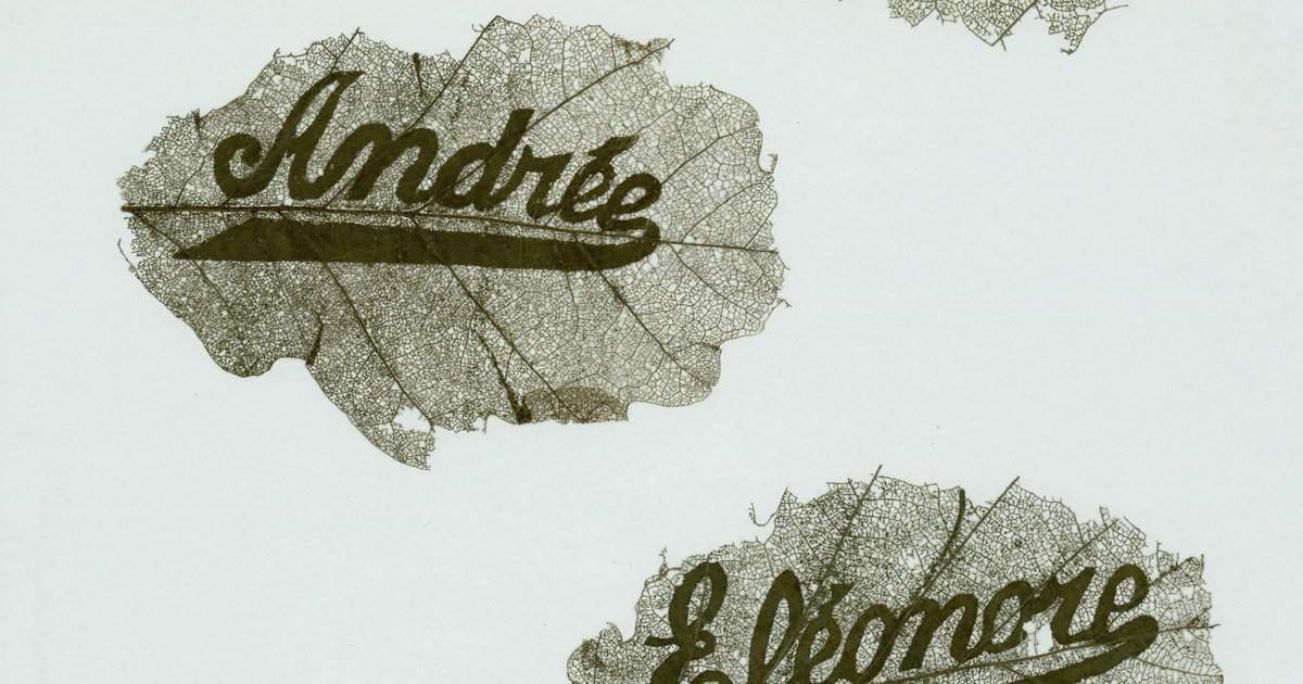 ‘Trench art of names carved in leaves’ by Hippolyte Hodeau (ca. 1917 ...