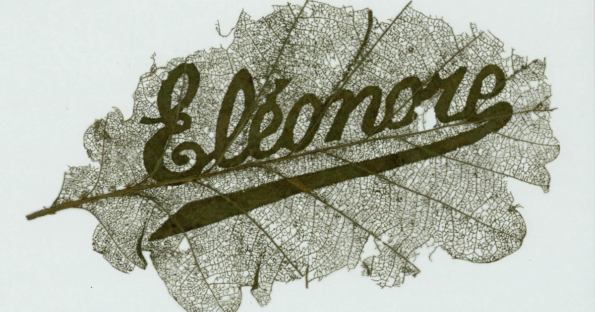 ‘Trench art of name carved in leaf’ by Hippolyte Hodeau (ca. 1917 ...