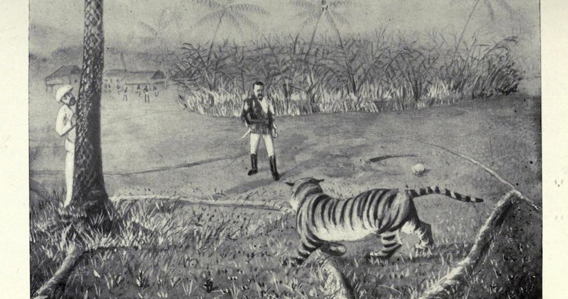 ‘Tiger Again Coming to the Charge’ from How I killed the tiger being an ...