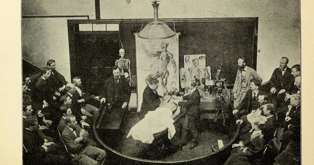 ‘Making a Dissection’ from The Champion Text Book on Embalming (1897 ...