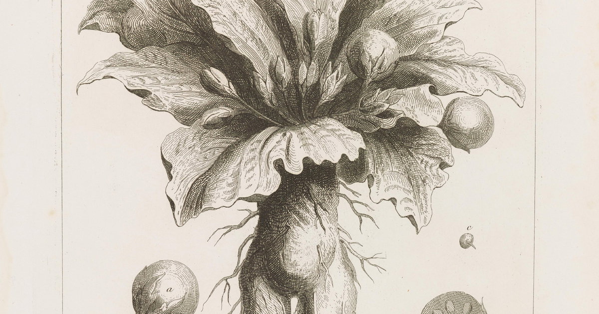 ‘Engraving from *Atlas géographique et iconographique du cours complet ...