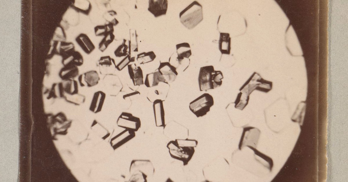 ‘Boric acid crystals, magnified 35 times’ by Marinus Pieter Filbri ...