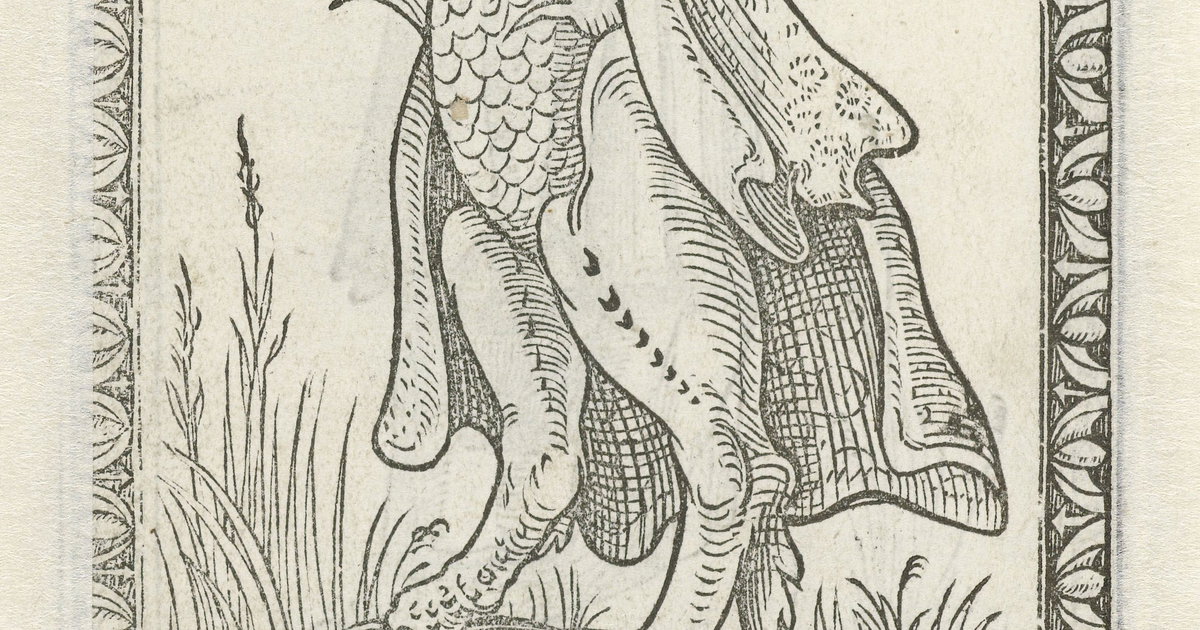 ‘The Sea Bishop’ by François Desprez from Collection of Various ...
