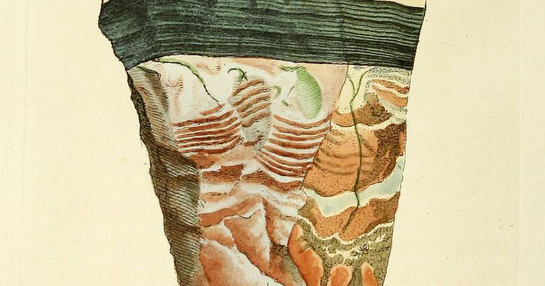 ‘Quartz-Jasper (*Silex Quartzum, var. Jaspis*)’ by James Sowerby from ...