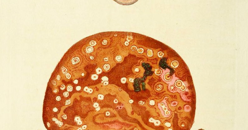 ‘Quartz, or Agate (*Silex Quartzum*)’ by James Sowerby from British ...