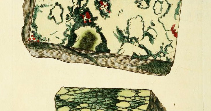 ‘Indurated Steatite (*Silex steatites, var. indurata*)’ by James ...
