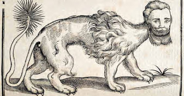 ‘Mantichora’ by Edward Topsell from The History of Four-Footed Beasts ...