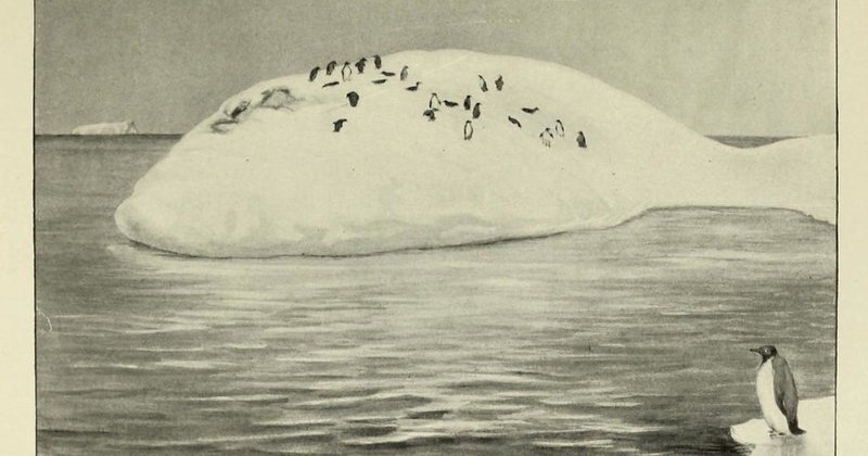 ‘Penguins on a Sea-Worn Iceberg Resembling a Whale’ by Frederick Albert ...