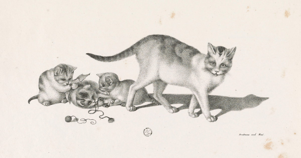 ‘A cat and her kittens’ by Joseph Brodtmann, Gottfried Mind (ca. 1820 ...