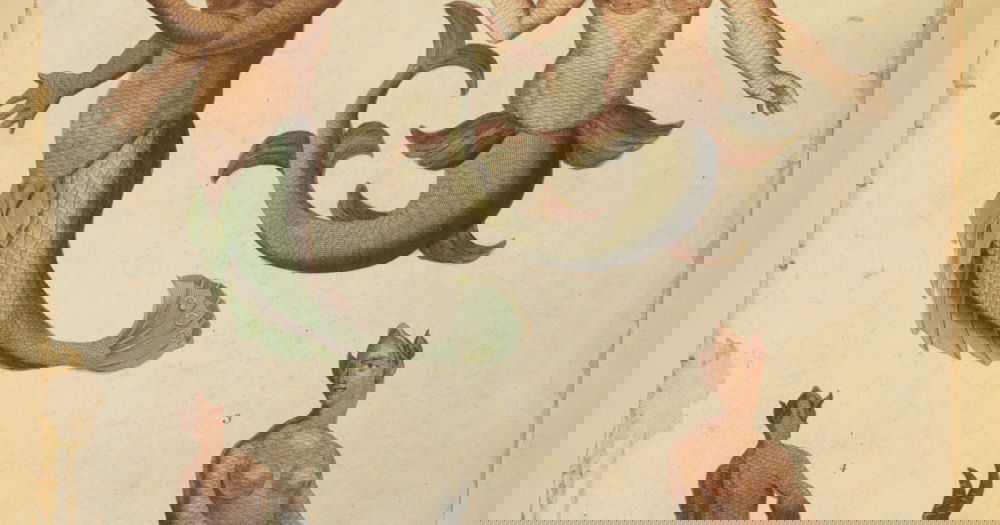 ‘Mermaids Exhibited Successively in the Years 1758, 1775, & 1795’ by ...