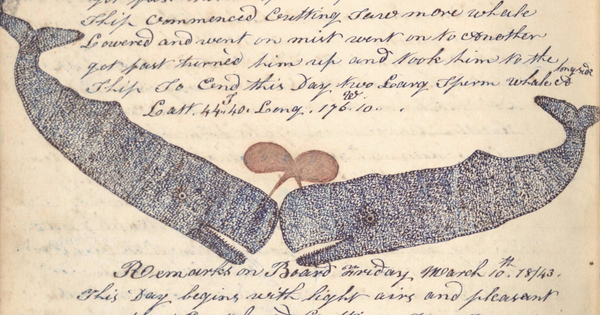 ‘Drawings of Whales in the Log of the Ship *Indian Chief*’ by Thomas R ...