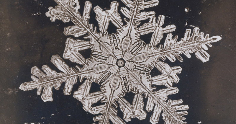 ‘Photograph of a Snowflake’ by Wilson Bentley (1910) | Public Domain ...