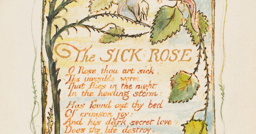 ‘The Sick Rose’ by William Blake from Songs of Innocence and of ...