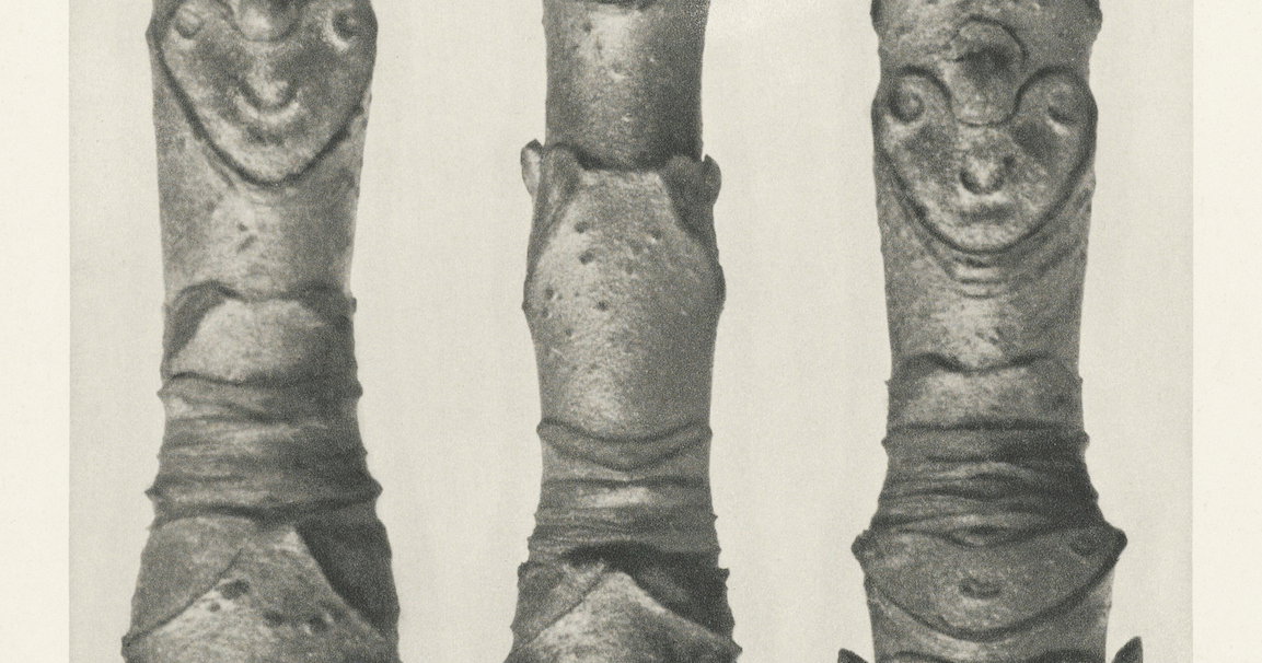 ‘Young Shoots of Horse–Chestnut ’ by Karl Blossfeldt from Urformen der ...